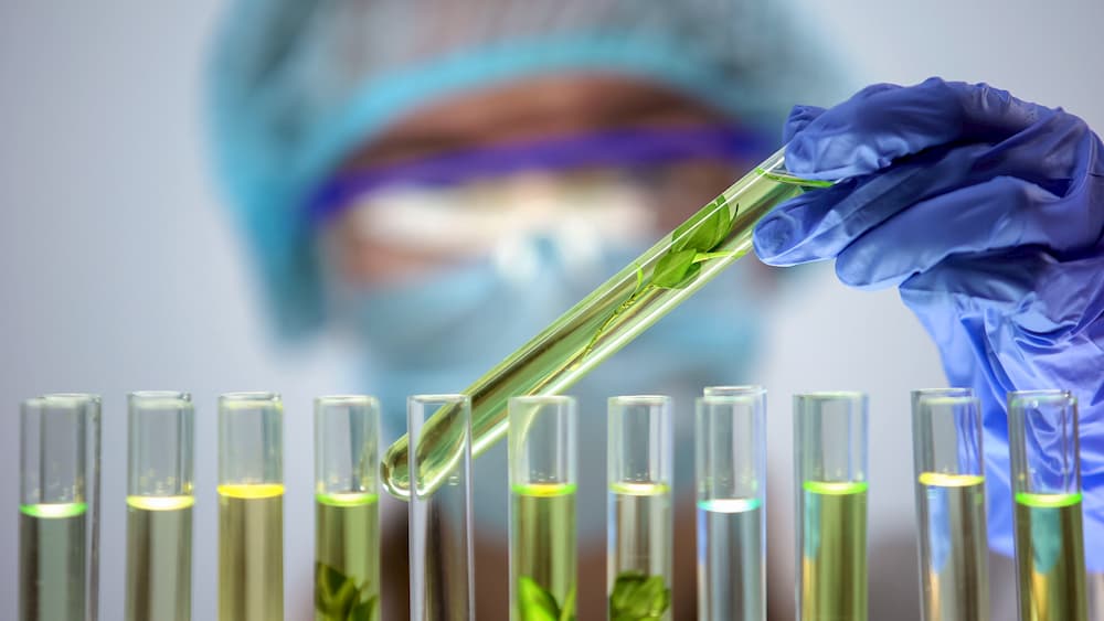 Cannabis Pesticide Testing | Nordic Analytical Laboratories